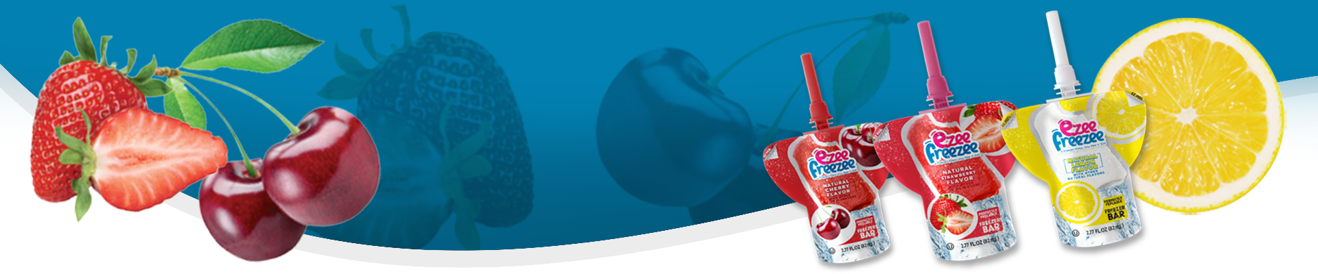 FAQs – Ezee Freezee